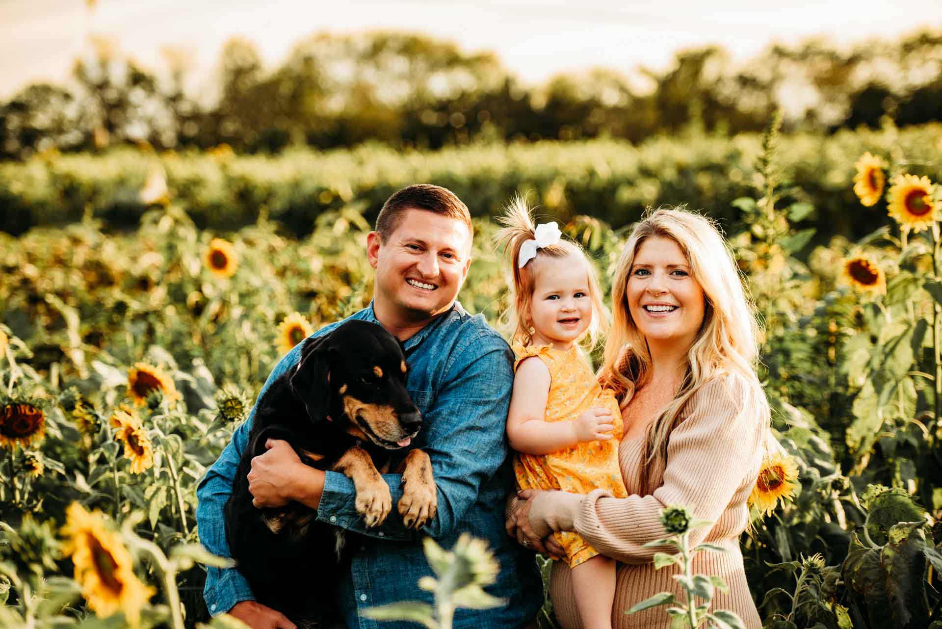 Exclusive Sessions 2025 - Lollipop Woods Photography